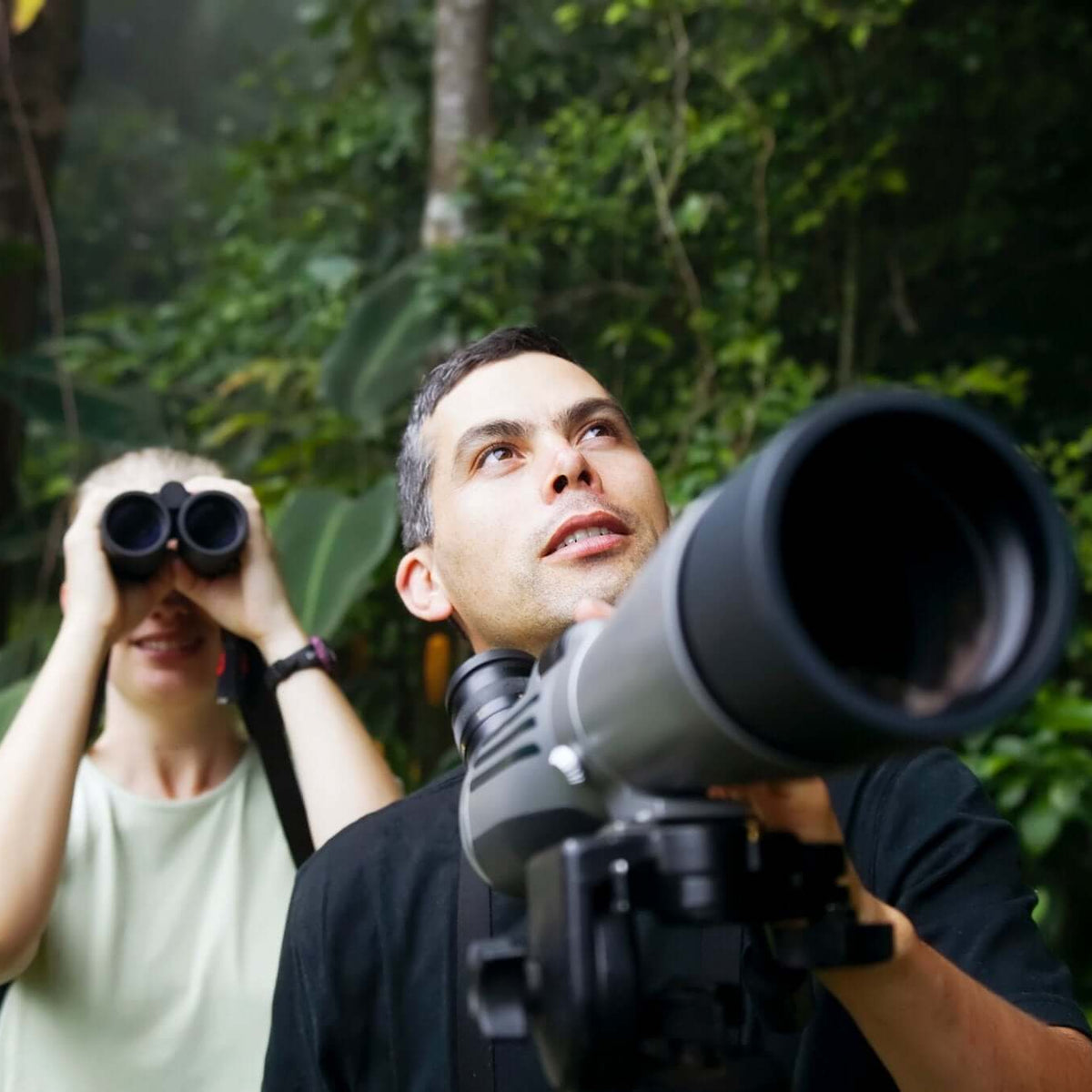 Do What You Love: How to Start a Birdwatching Club