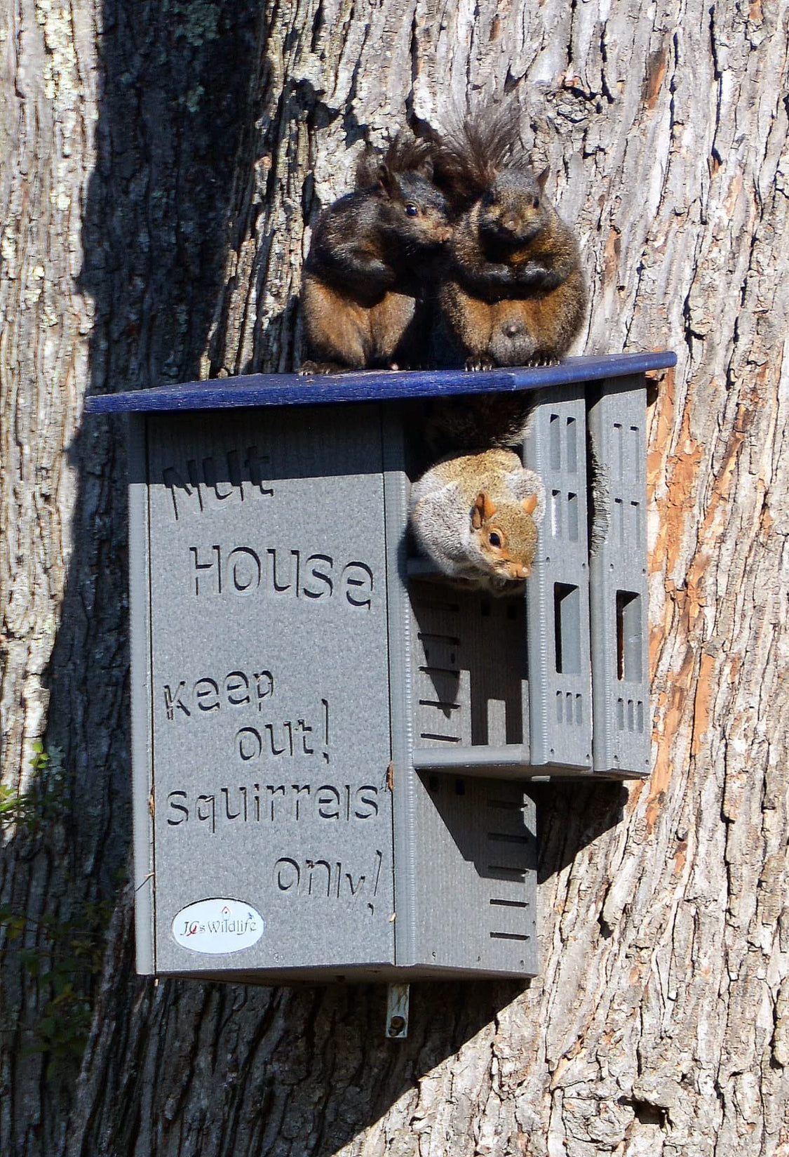 JCS Wildlife Ultimate Squirrel House Nesting Box