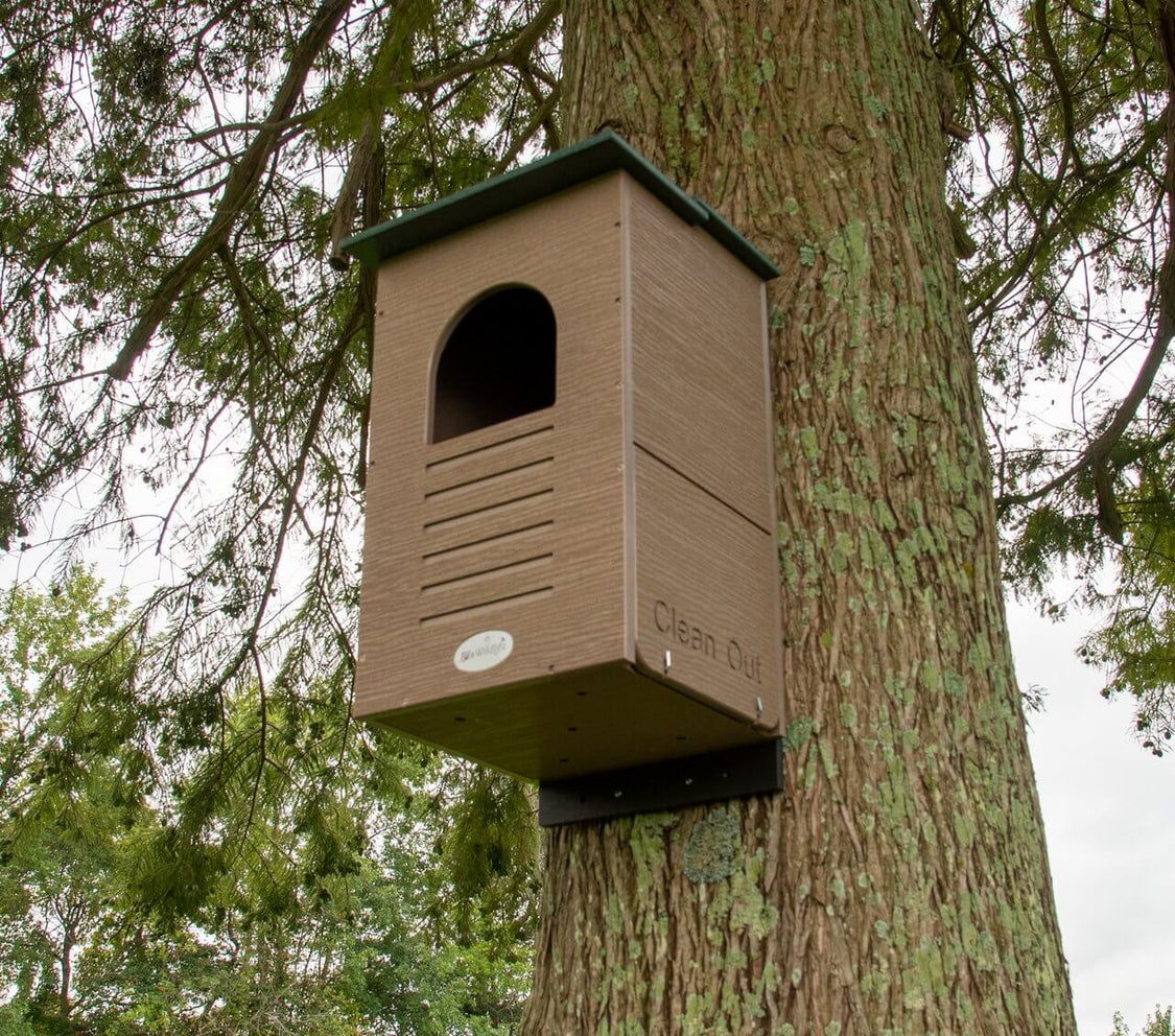 Owl Houses Boxes - Handmade in the USA! | JCs Wildlife – JCS Wildlife